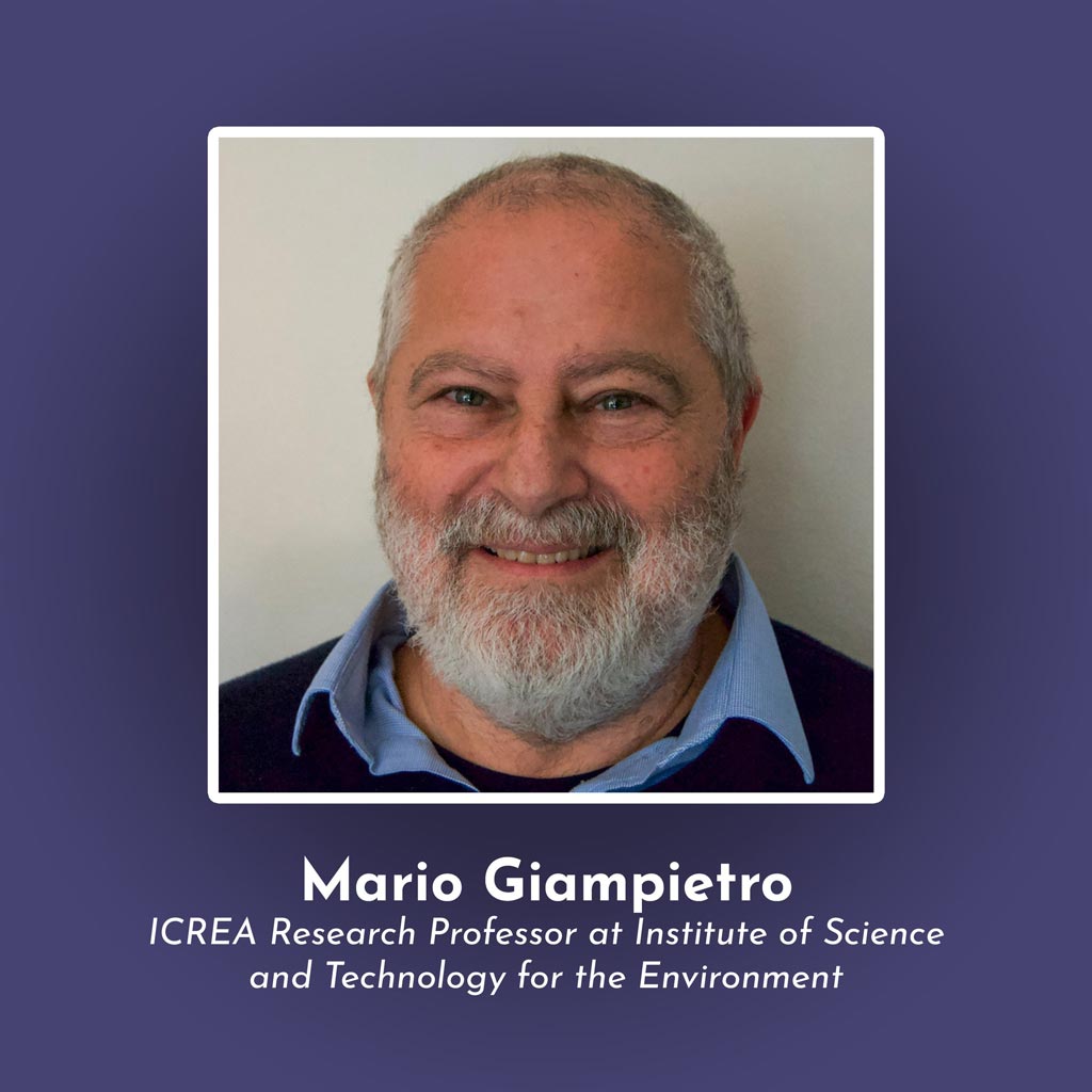 Mario Giampietro: “Models with Meaning - Changing Social Practices” - The Great Simplification
