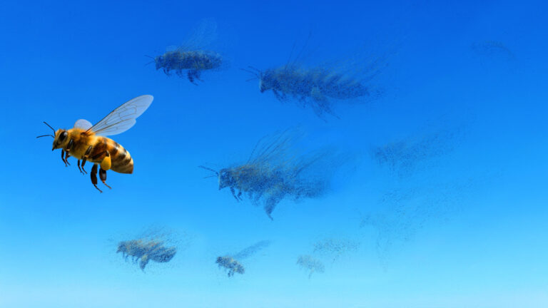 Episodes - The Great Simplification