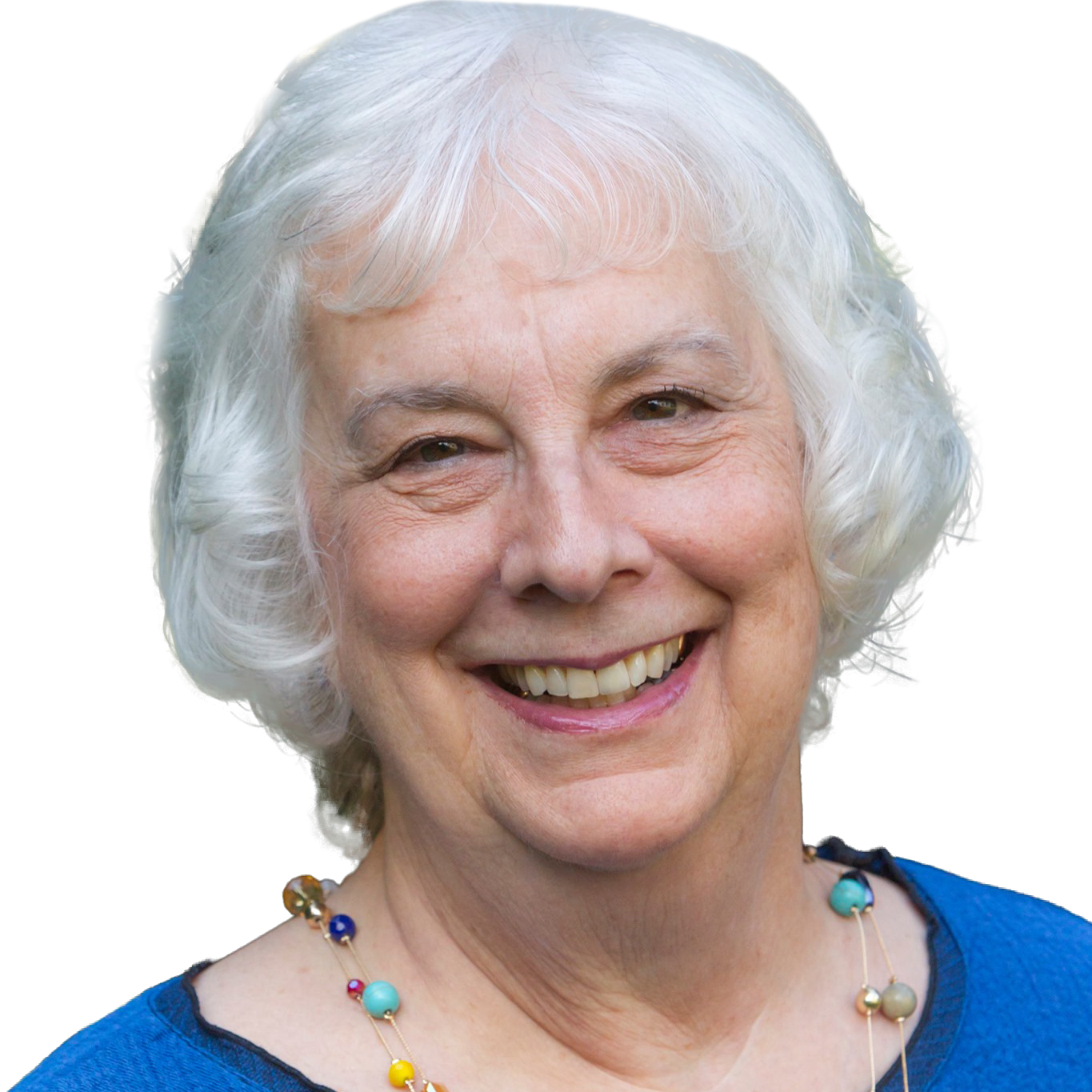 Episodes - The Great Simplification