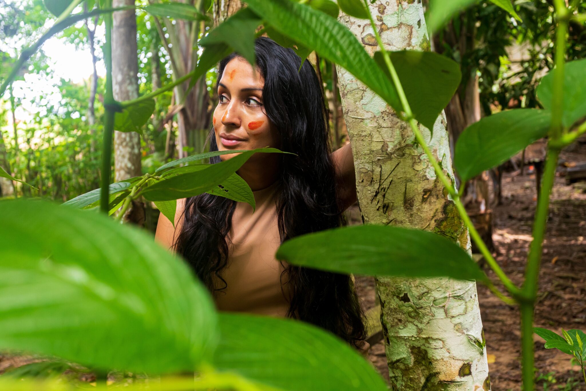 Episodes - The Great Simplification