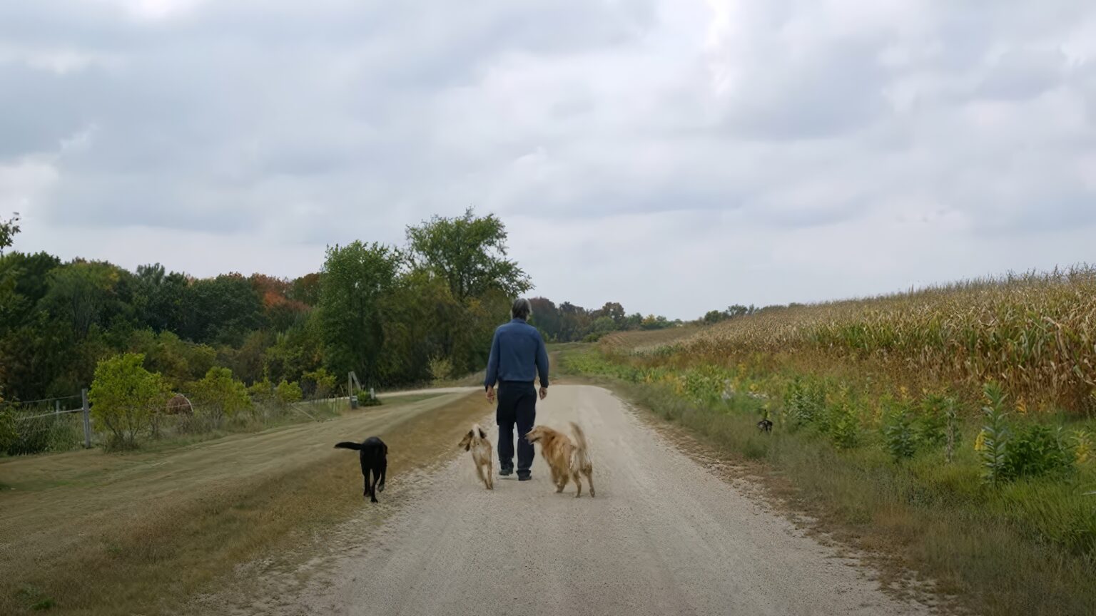 Peter Turchin: “The ‘Decline’ of Nations: How Elite Surplus and ...